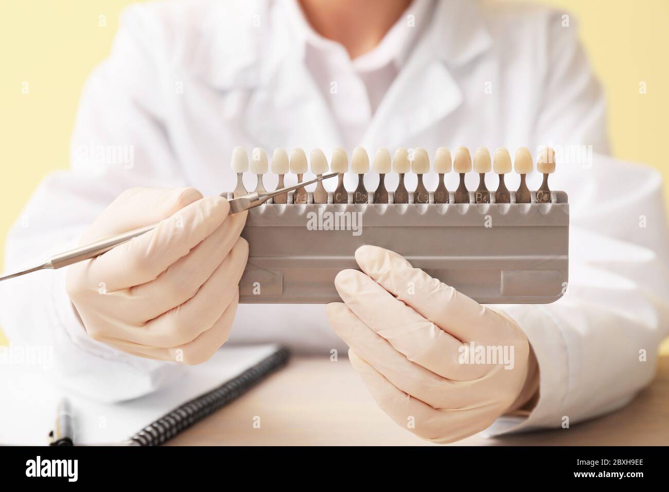 Female dentist with teeth color samples and tool, closeup Stock Photo ...