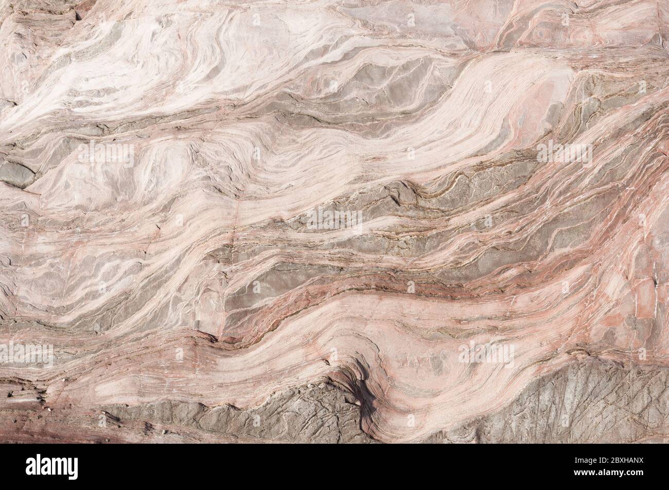 Eroded pale pink and cream rocks of South Devon coast show contours on ...