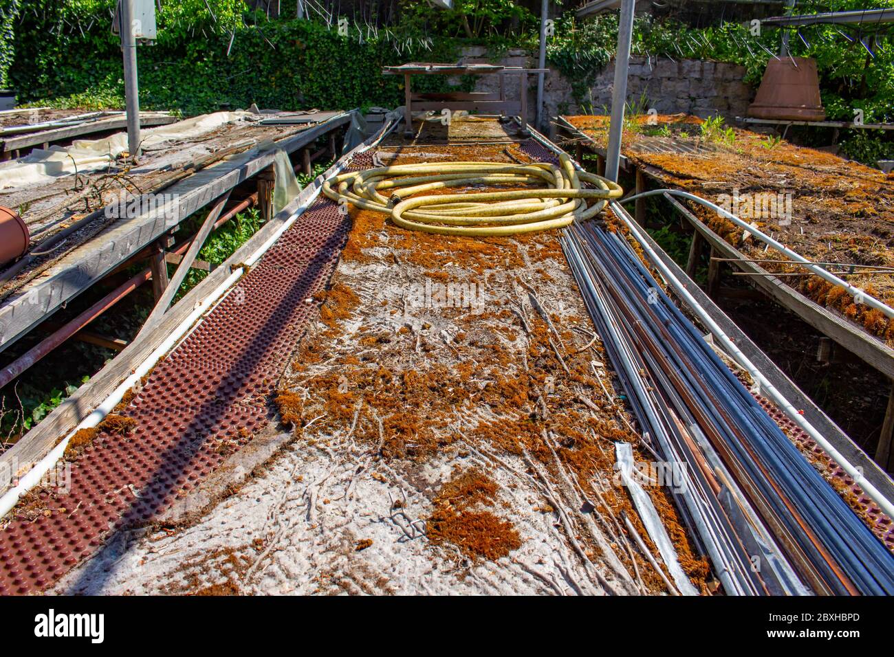 Old damaged plant table in a abandoned greenhouse Stock Photo - Alamy