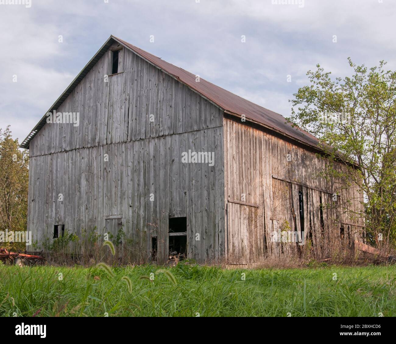 0036 hi-res stock photography and images - Alamy