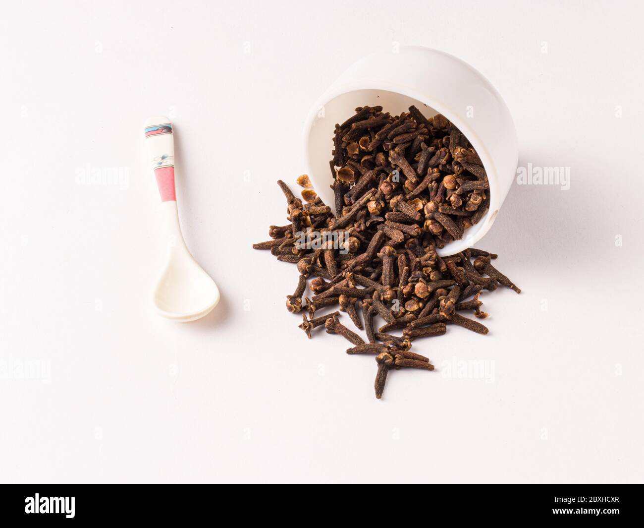 Dried Clove / indian spice laung isolated stock photo with white ...