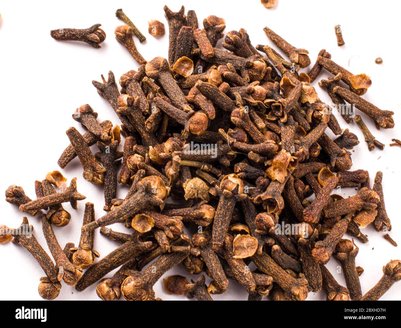 Dried Clove / indian spice laung isolated stock photo with white ...