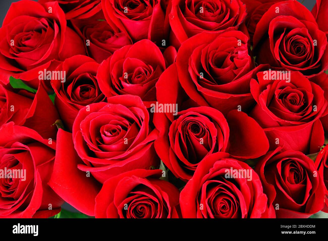 Roses in a bouquet hi-res stock photography and images - Alamy