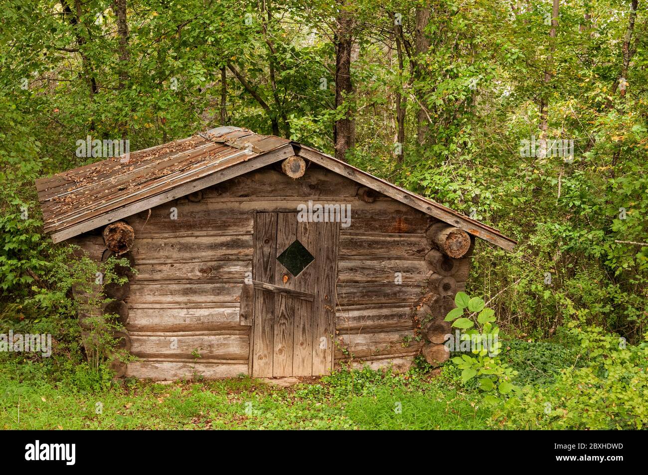 Small log cabin in the woods Stock Photo - Alamy