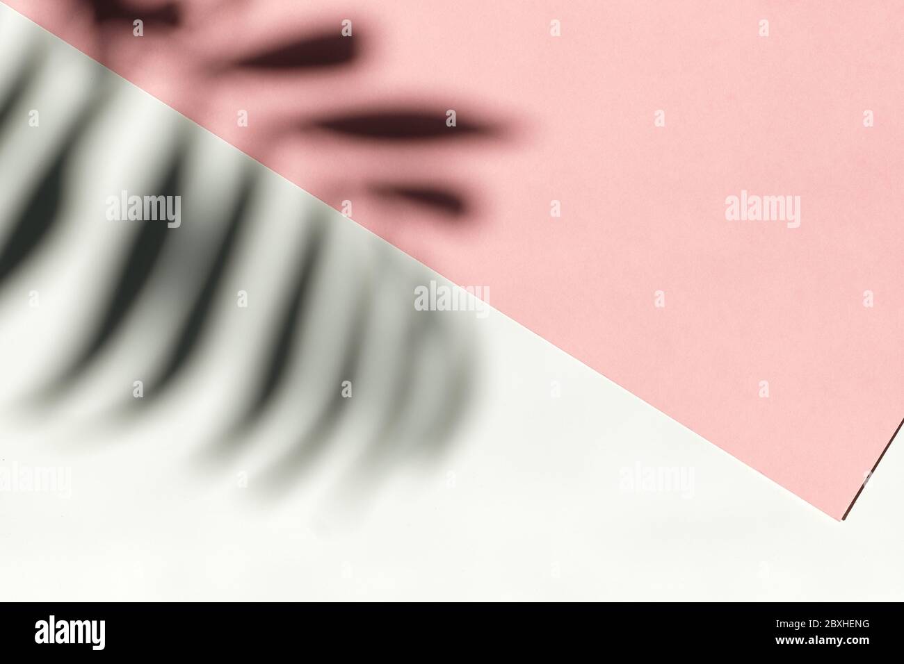 Sun shadow on pink hi-res stock photography and images - Alamy