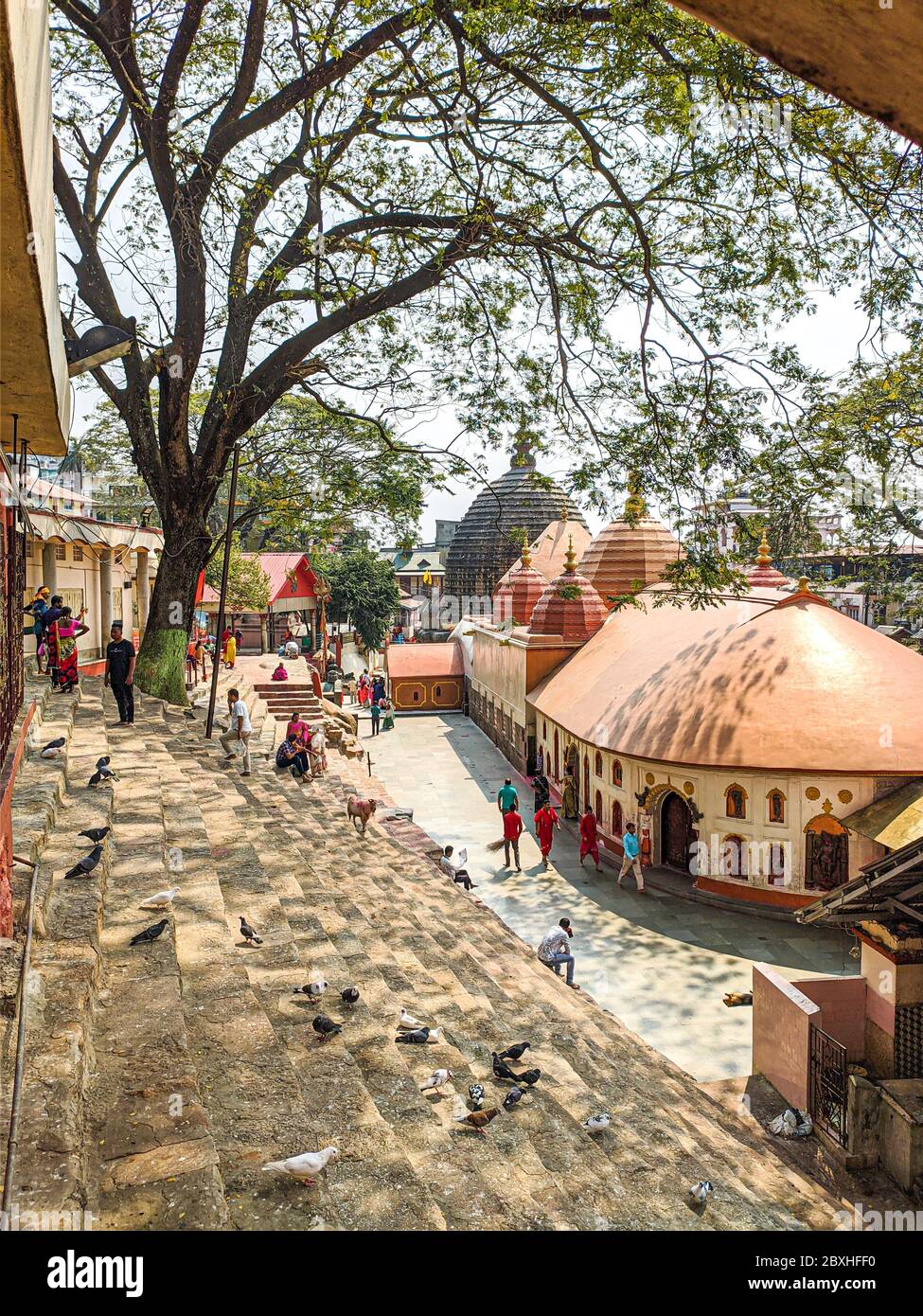 Kamakhya temple hi-res stock photography and images - Alamy