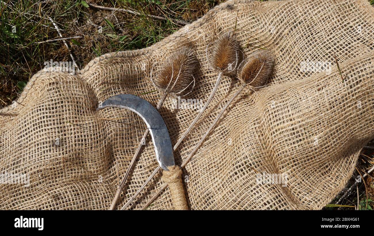 Roman sickle hi-res stock photography and images - Alamy