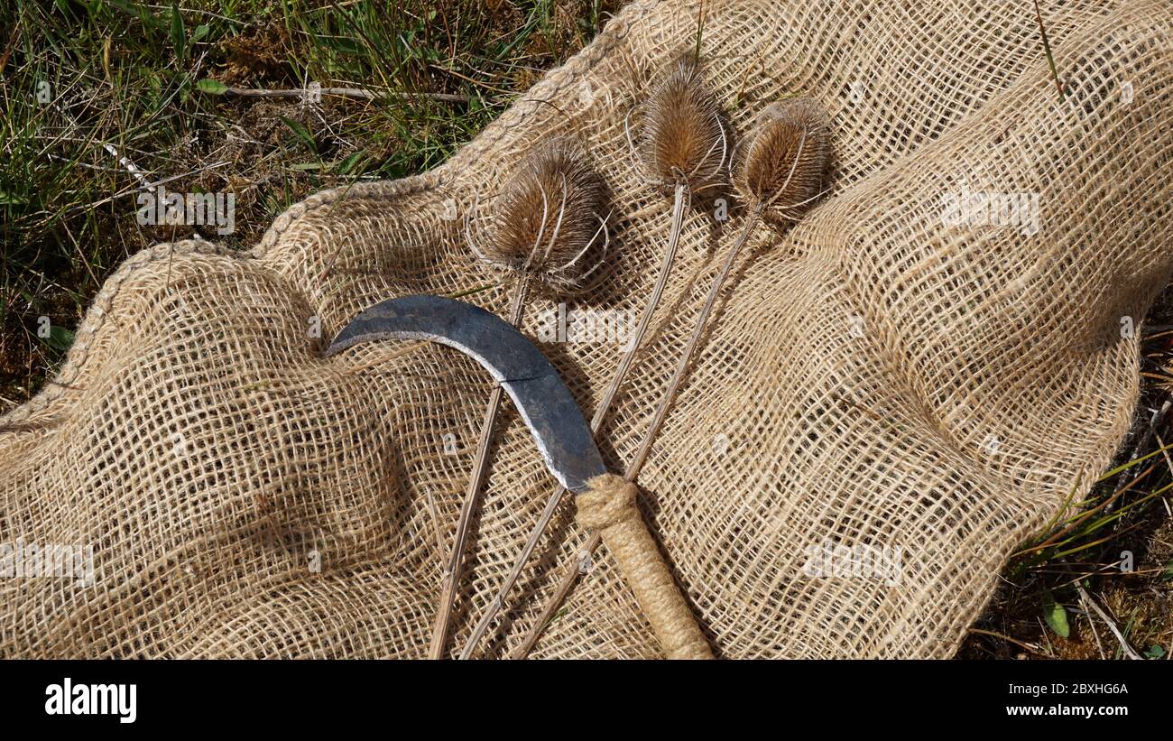 Roman sickle hi-res stock photography and images - Alamy