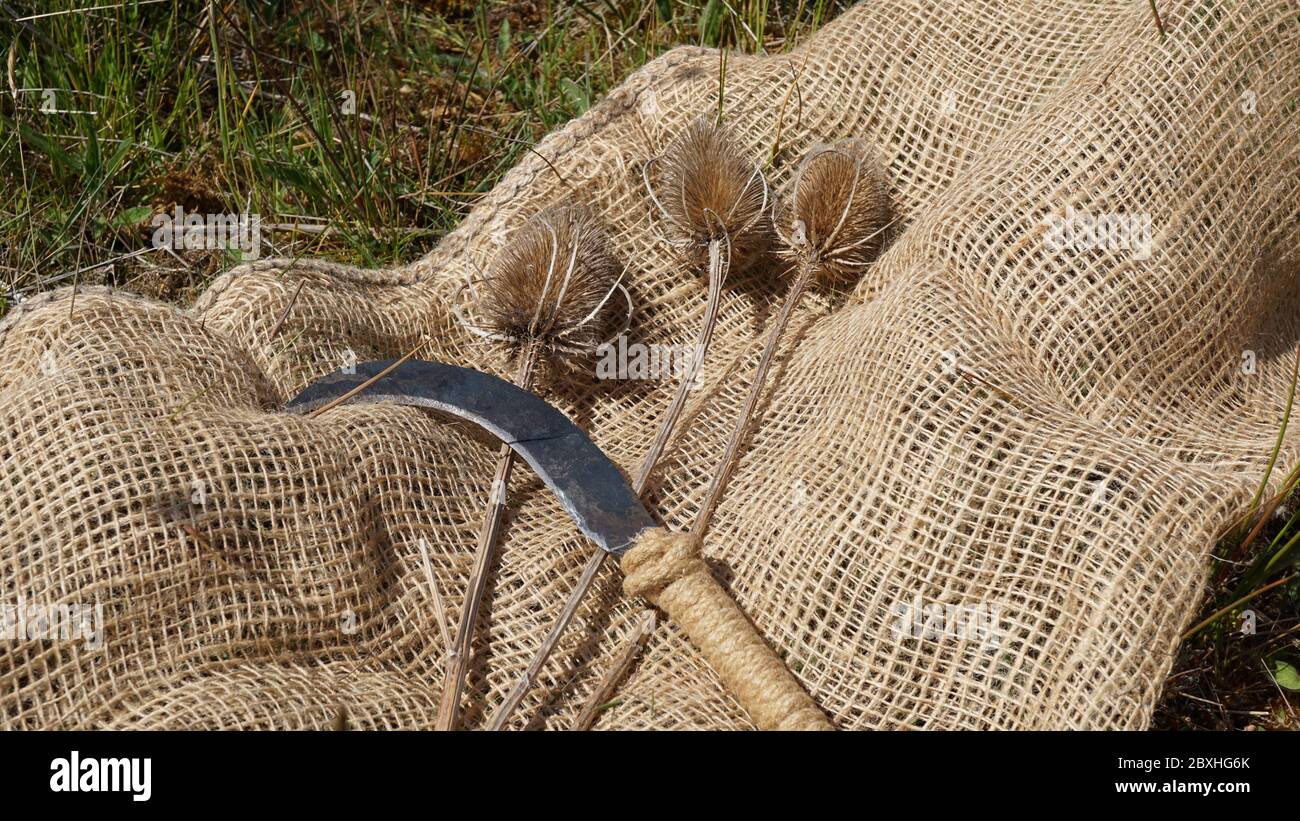 Roman sickle hi-res stock photography and images - Alamy