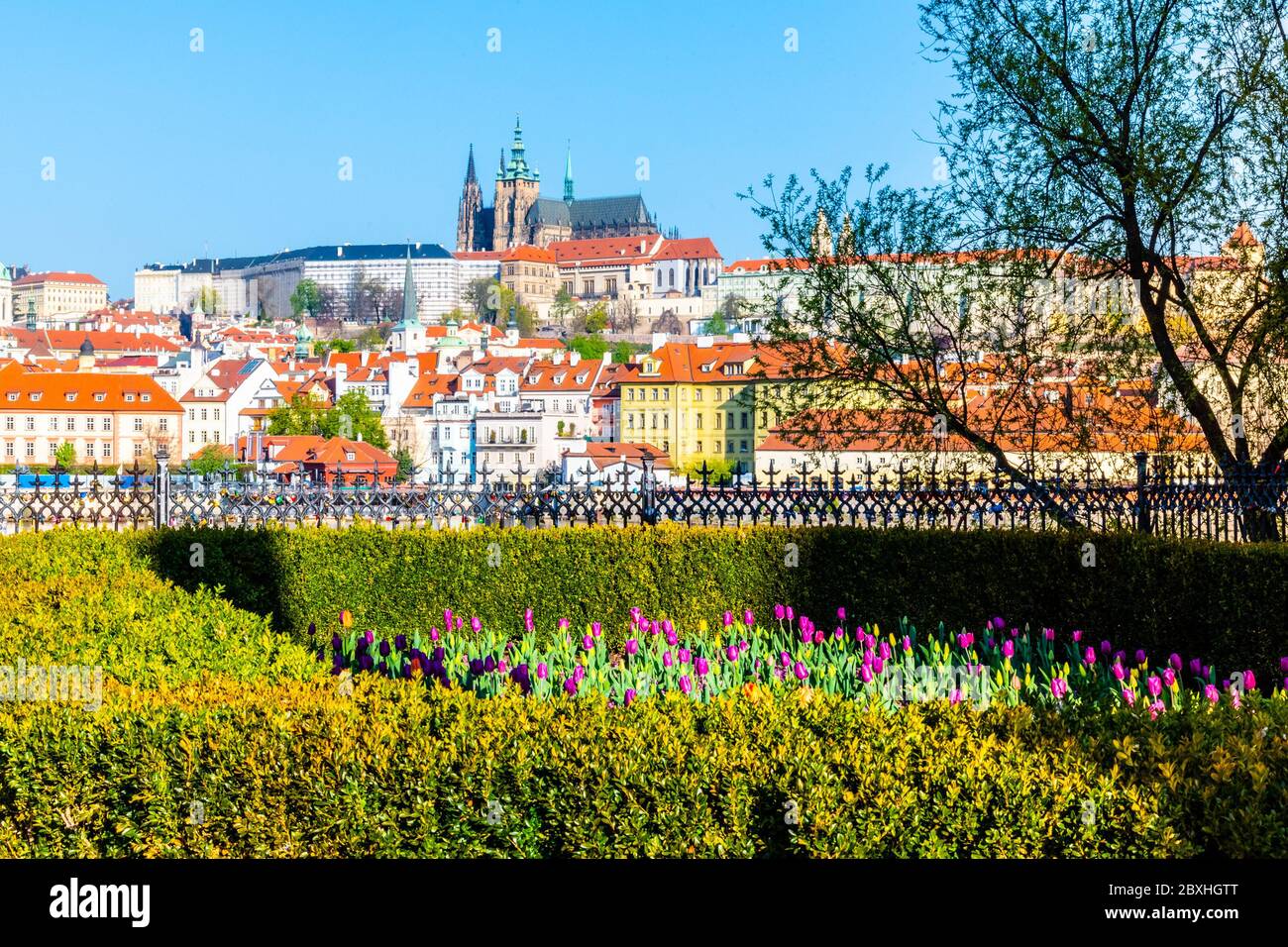 Spring in Prague. Flowerbed of tulips on sunny spring day with Prague ...