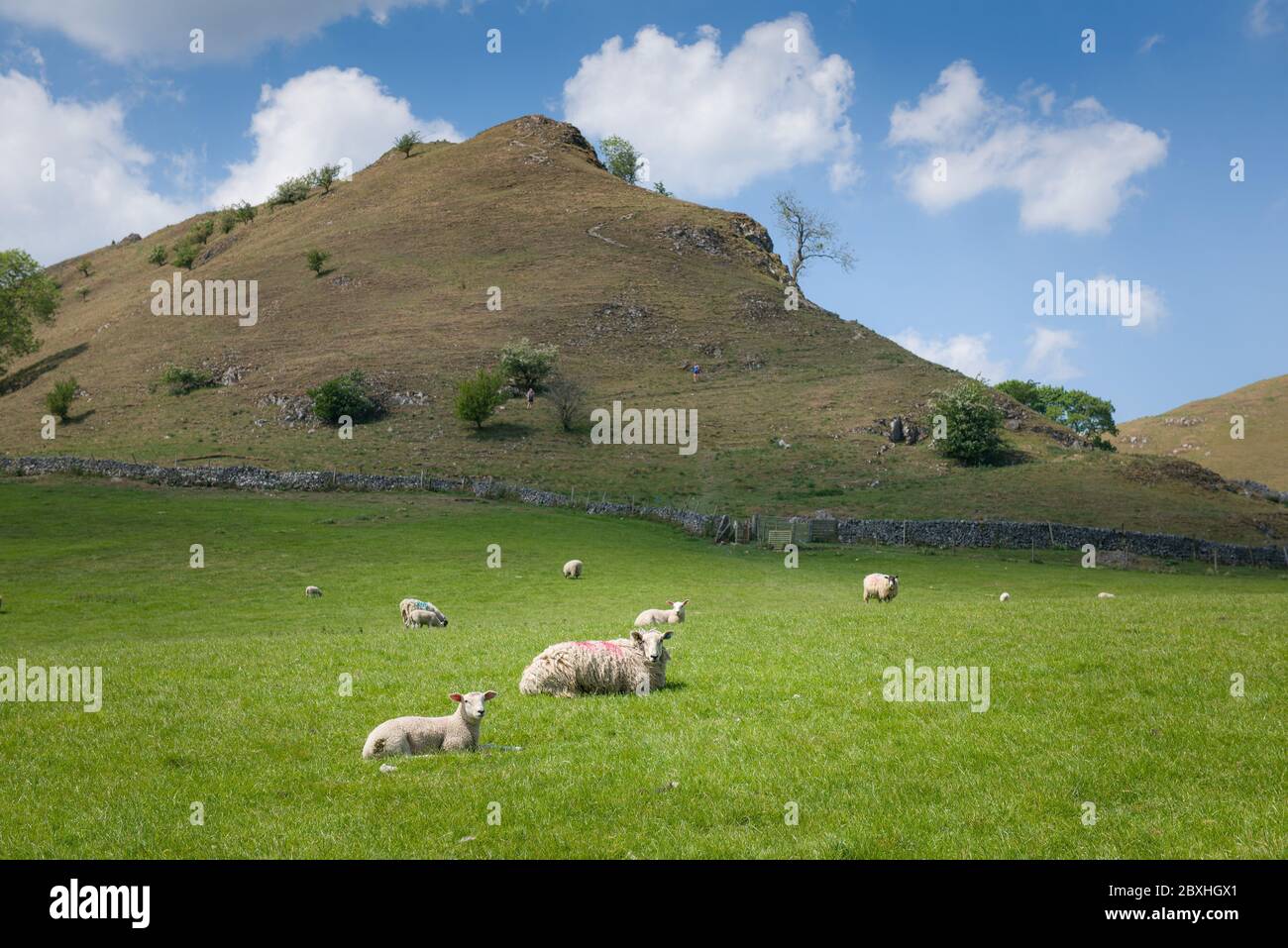 Chrome Hill in Peak District UK Stock Photo - Alamy
