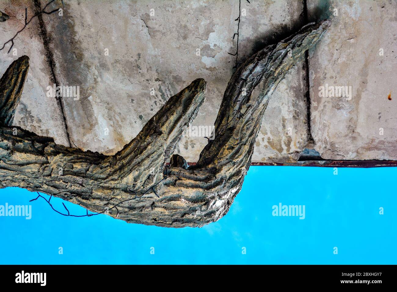 Clumsy artificial tree supports roof like decorative pillar ...