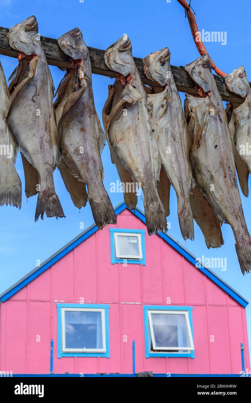 Traditional Inuit Food