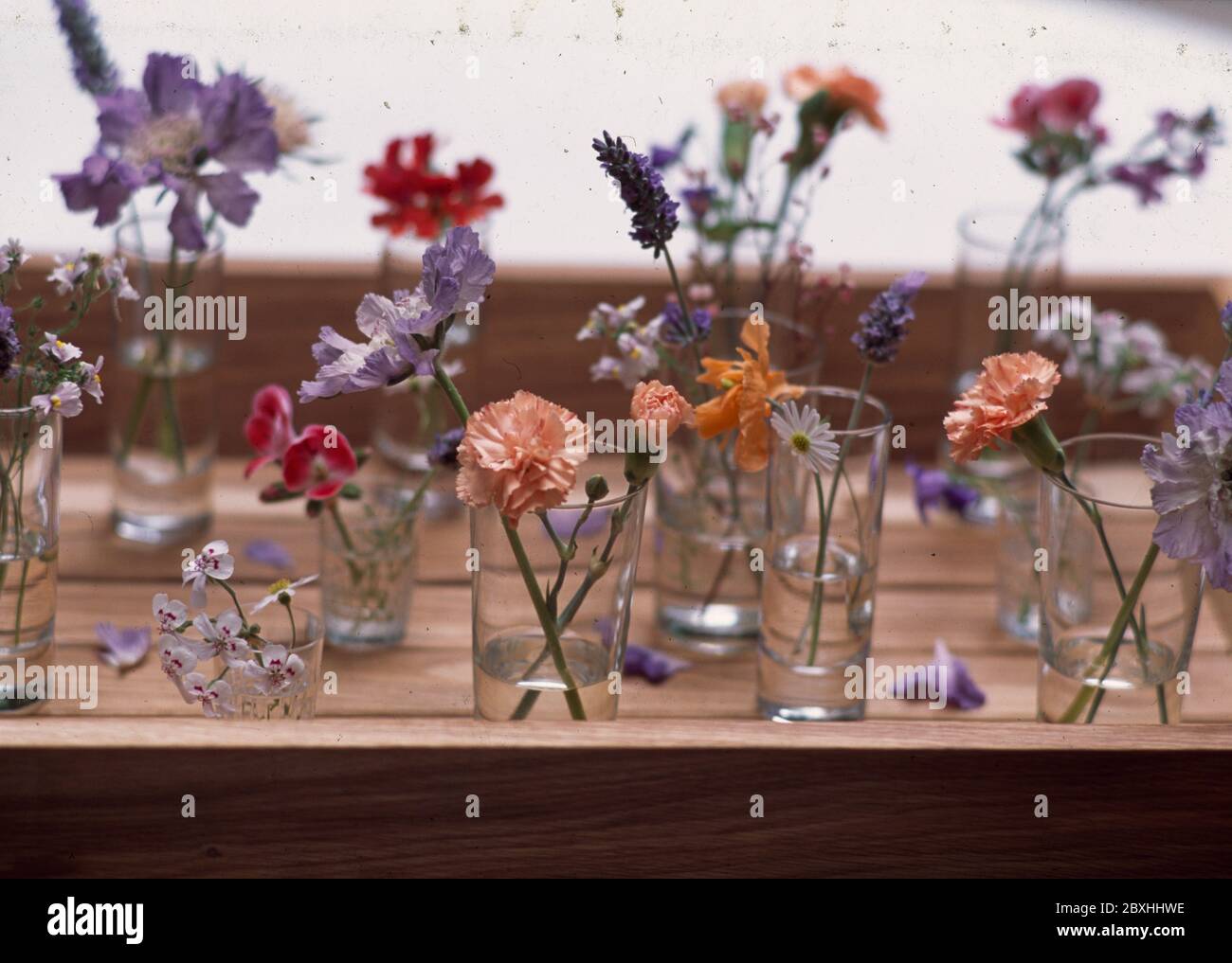 Assorted flowers hi-res stock photography and images - Alamy