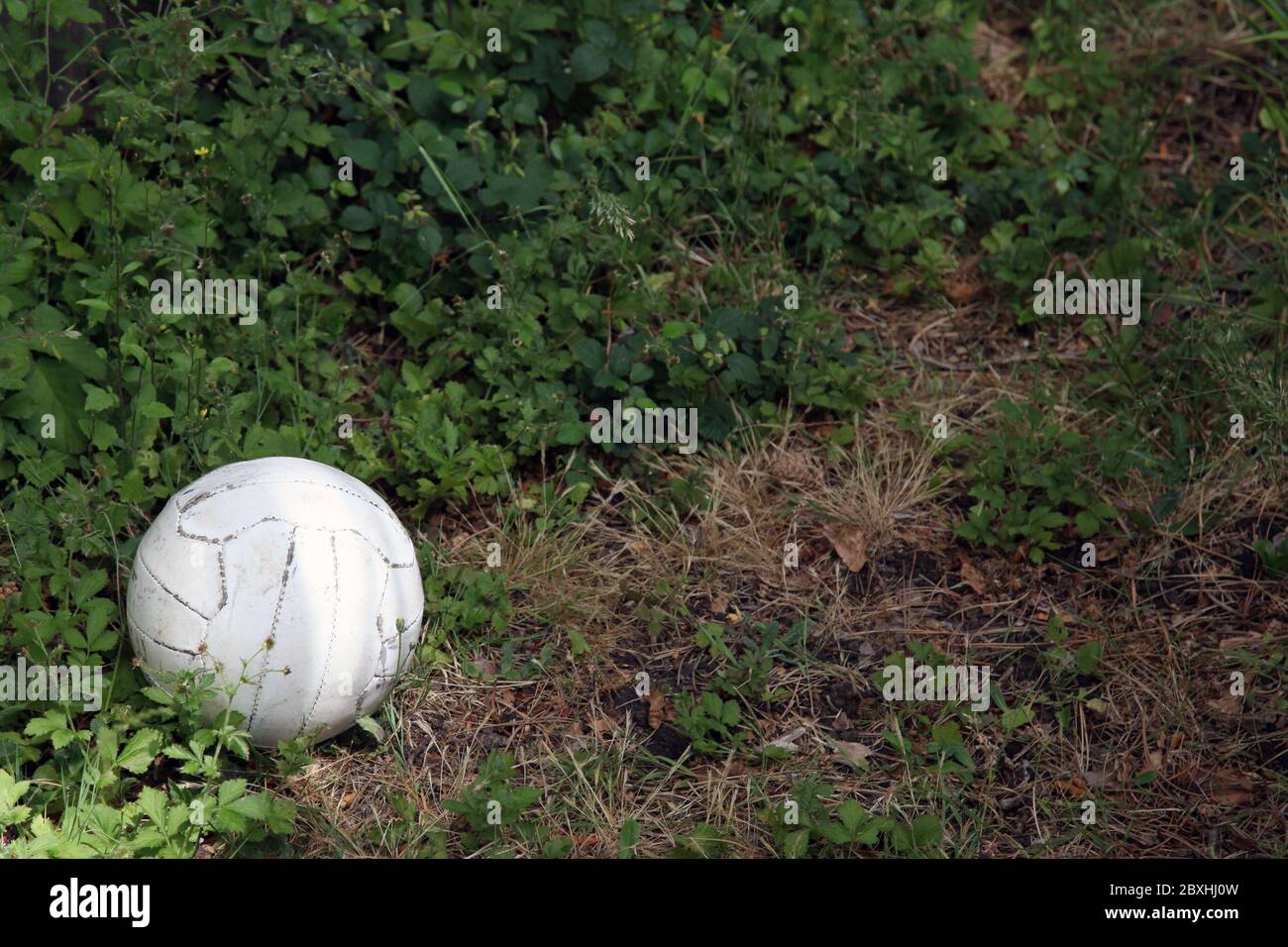 Soccer ball lost in bush hi-res stock photography and images - Alamy