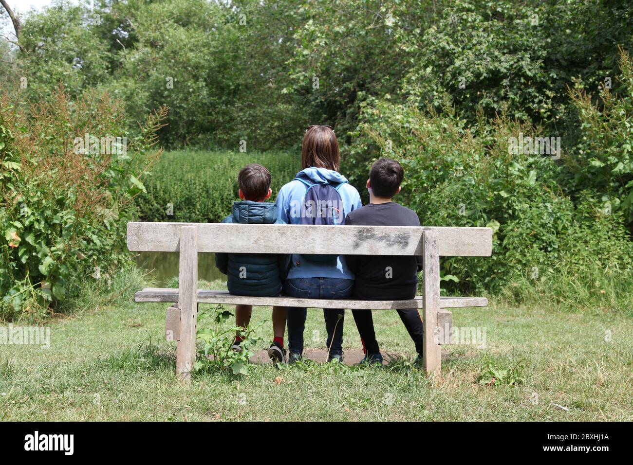 Mother and sons sitting on bench back to camera in Surrey countryside ...