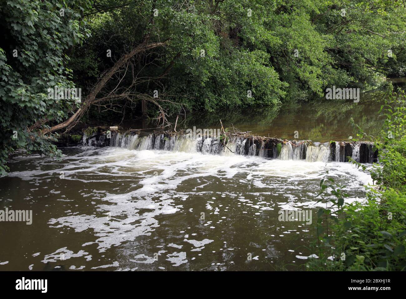 Waterfall on the River Mole Leatherhead Nature Walk, Leatherhead ...