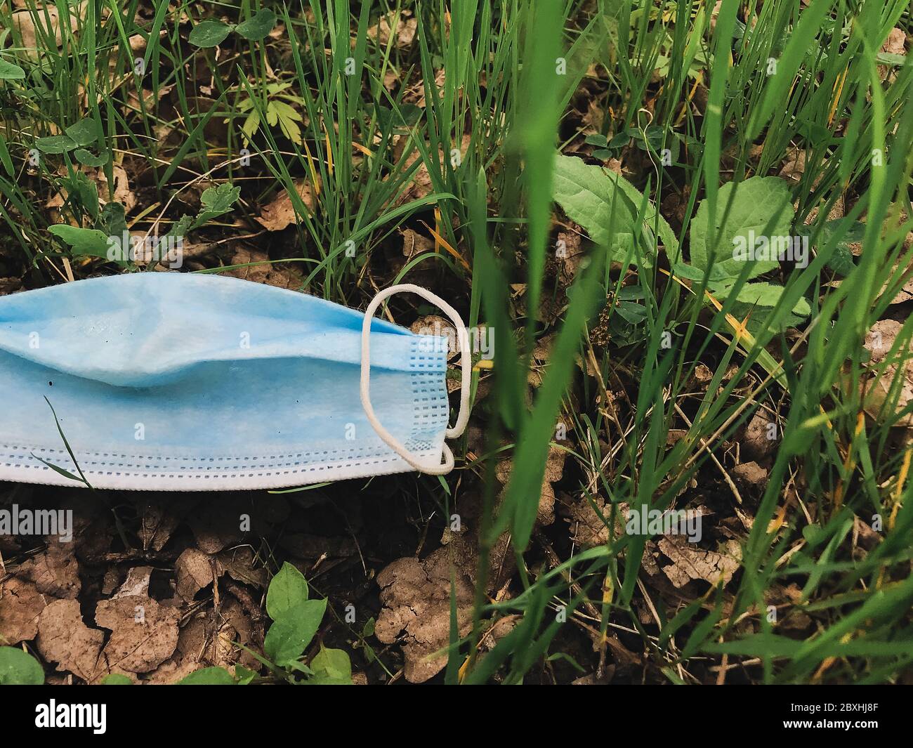 Disposable dirty face mask on ground, single use plastic trash on grass ...