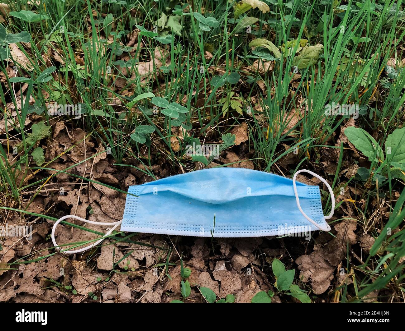 Disposable dirty face mask on ground, single use plastic trash on grass ...