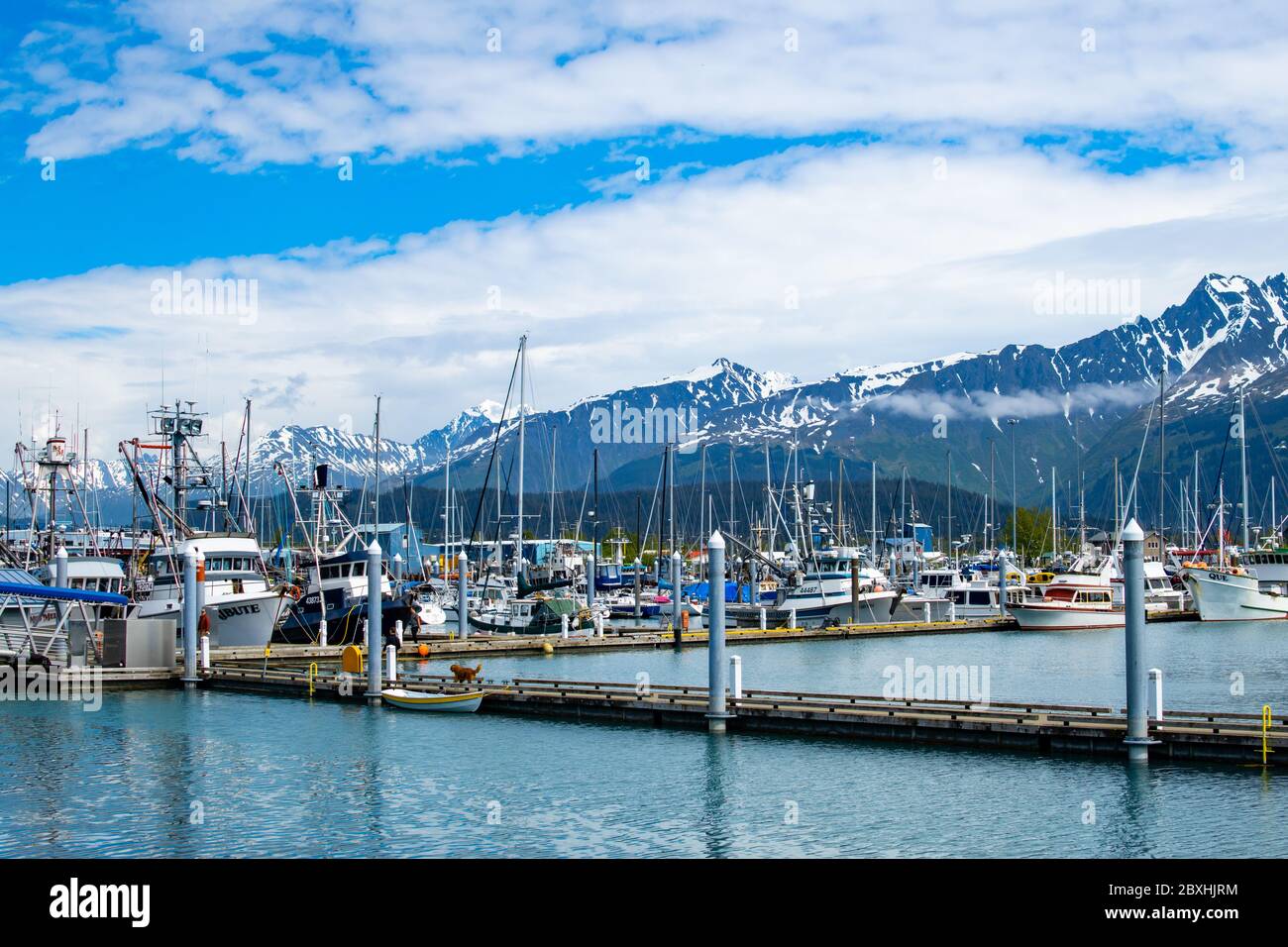 Boats in the port of seward hi-res stock photography and images - Alamy