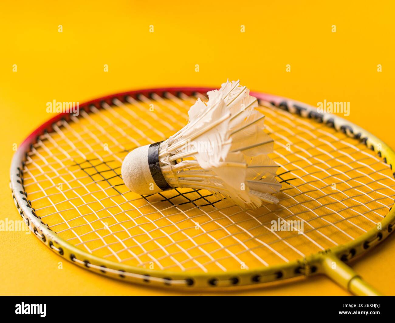 Badminton racket and White Feather Shuttlecock with a colour green ...