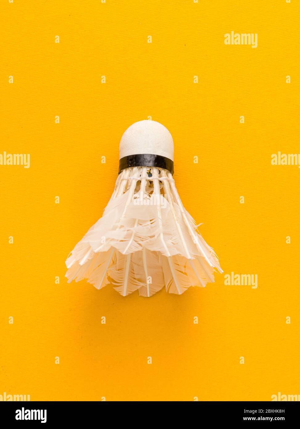 Badminton racket and White Feather Shuttlecock with a colour green ...