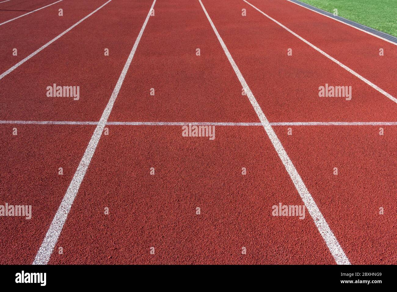 The markings on the treadmill. Treadmill at the sports stadium. Sports ...