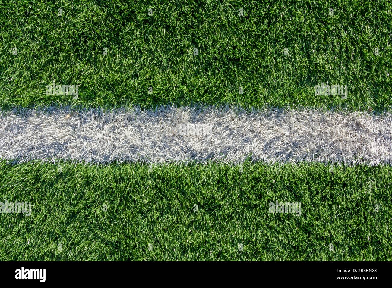 Soccer Field Grass Texture