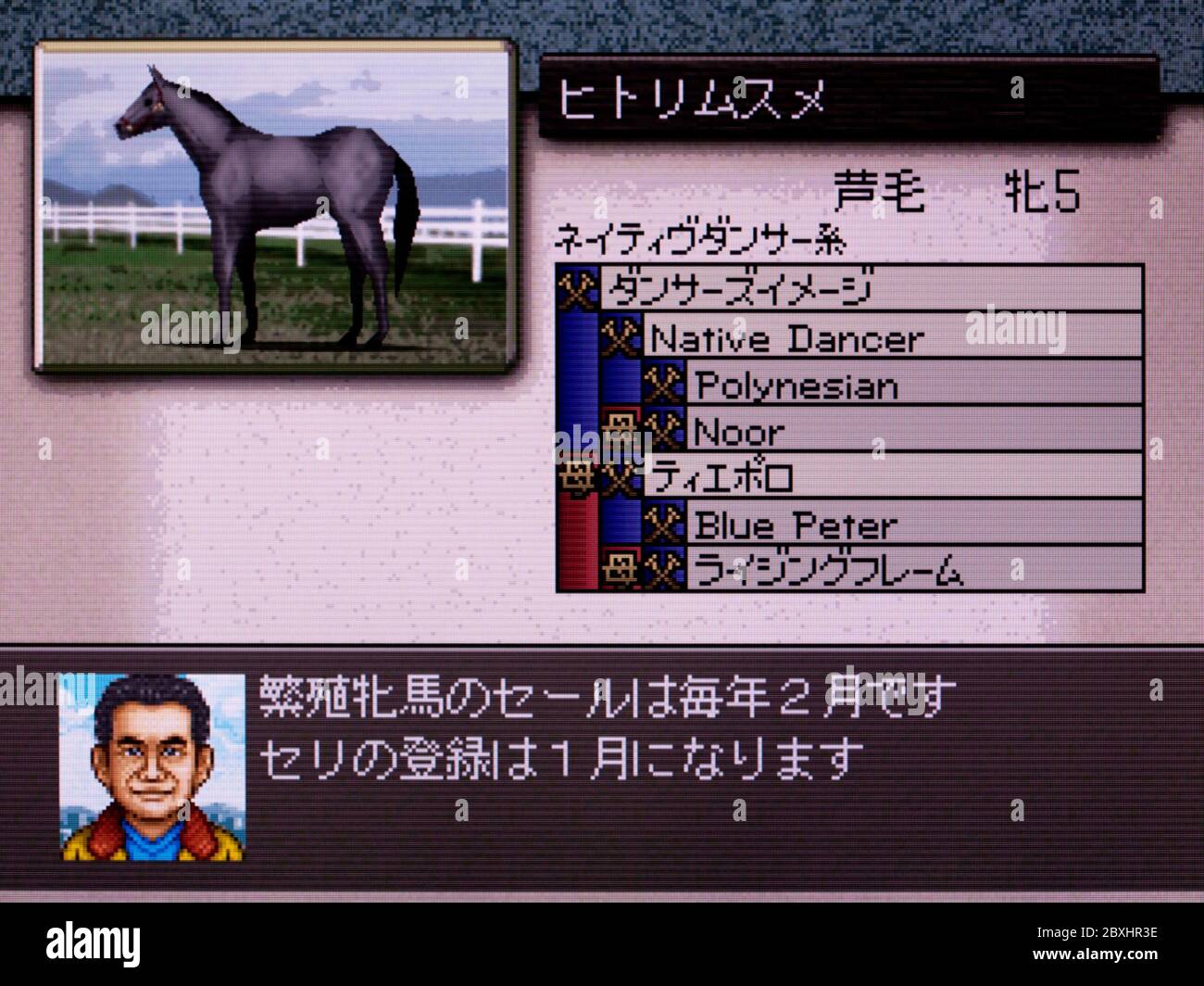 Derby Stallion 64 - Nintendo 64 Videogame - Editorial use only Stock ...