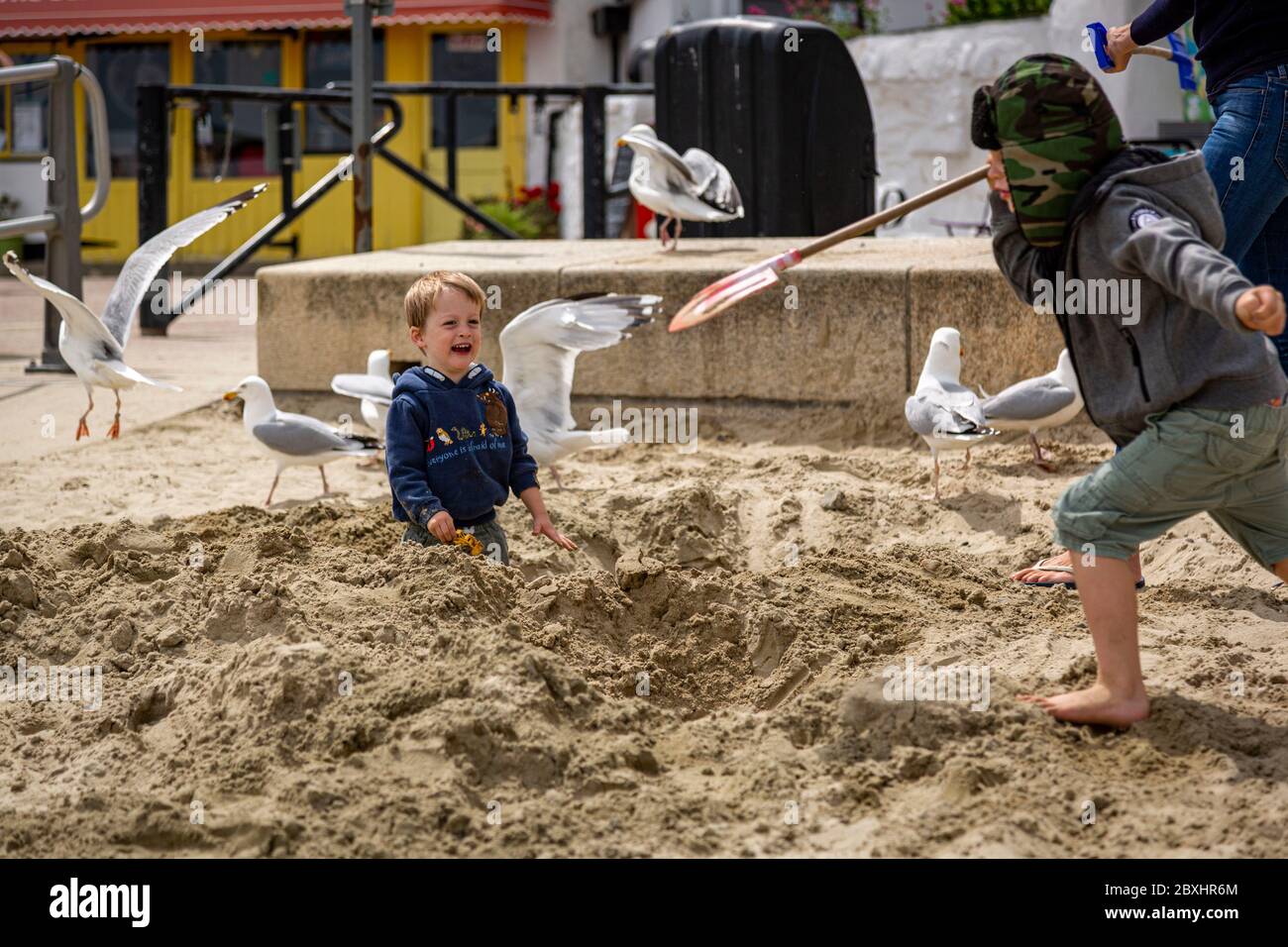 05 June 2020, Lyme Regis, UK. A boy chases off a flock of seagulls on ...