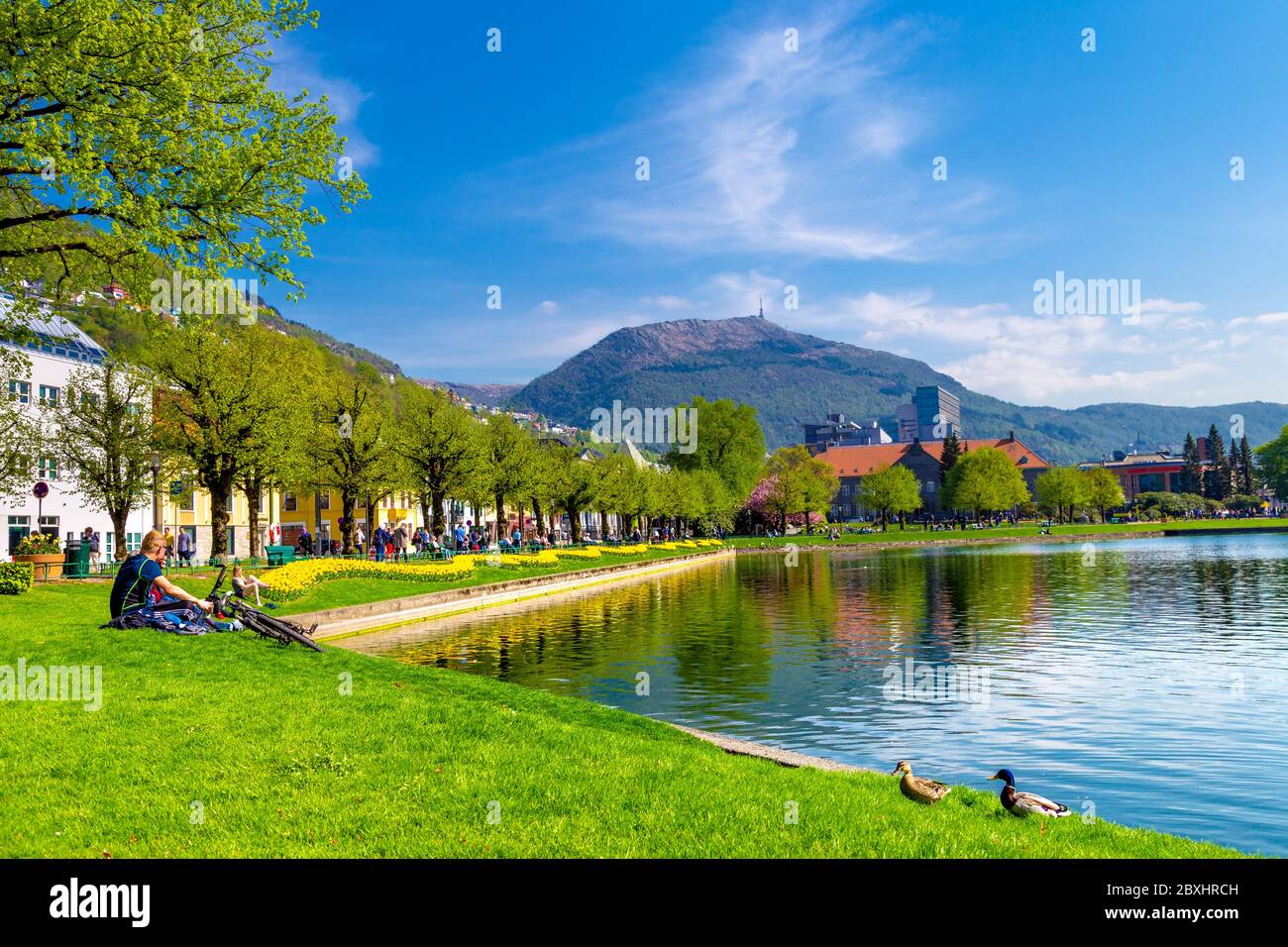 People relaxing on the lawn with bicycles by Lille Lungegårdsvannet at ...