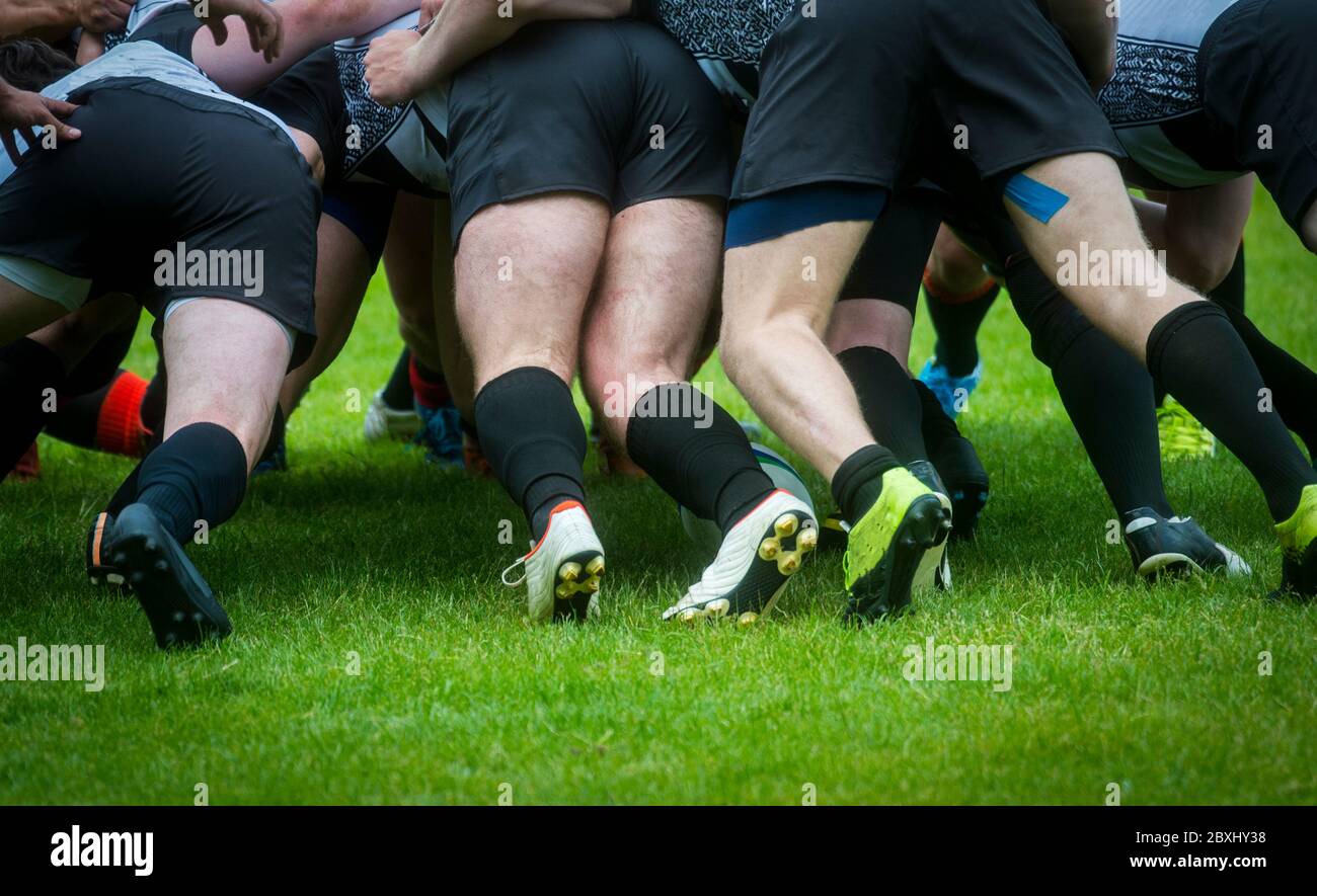 Low Section Of People Playing Rugby On Grassy Field. Rugby players in ...