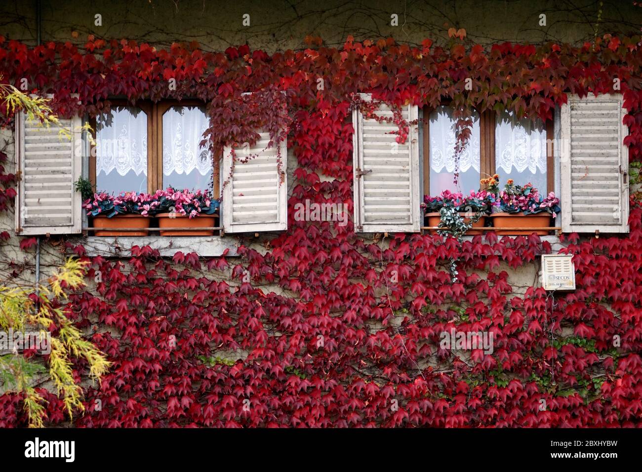 Mediterranean house facade with opened window shutters surrounded by ...