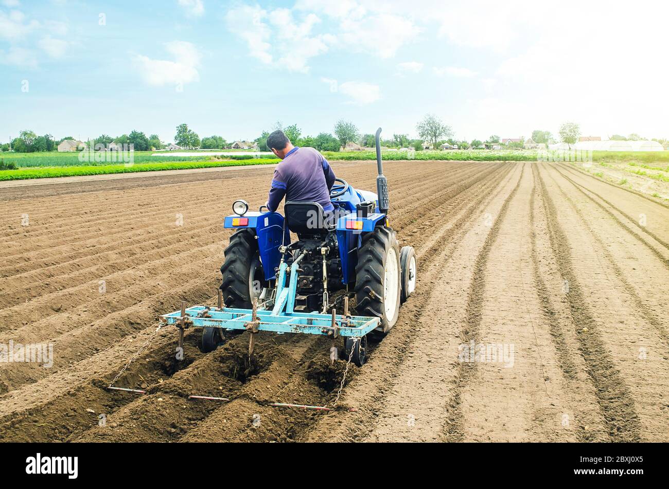 Farm Field Rows