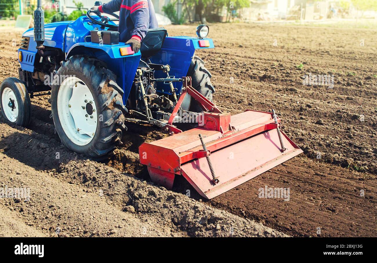 Farmer on a tractor cultivates land after harvesting. Grinding ...