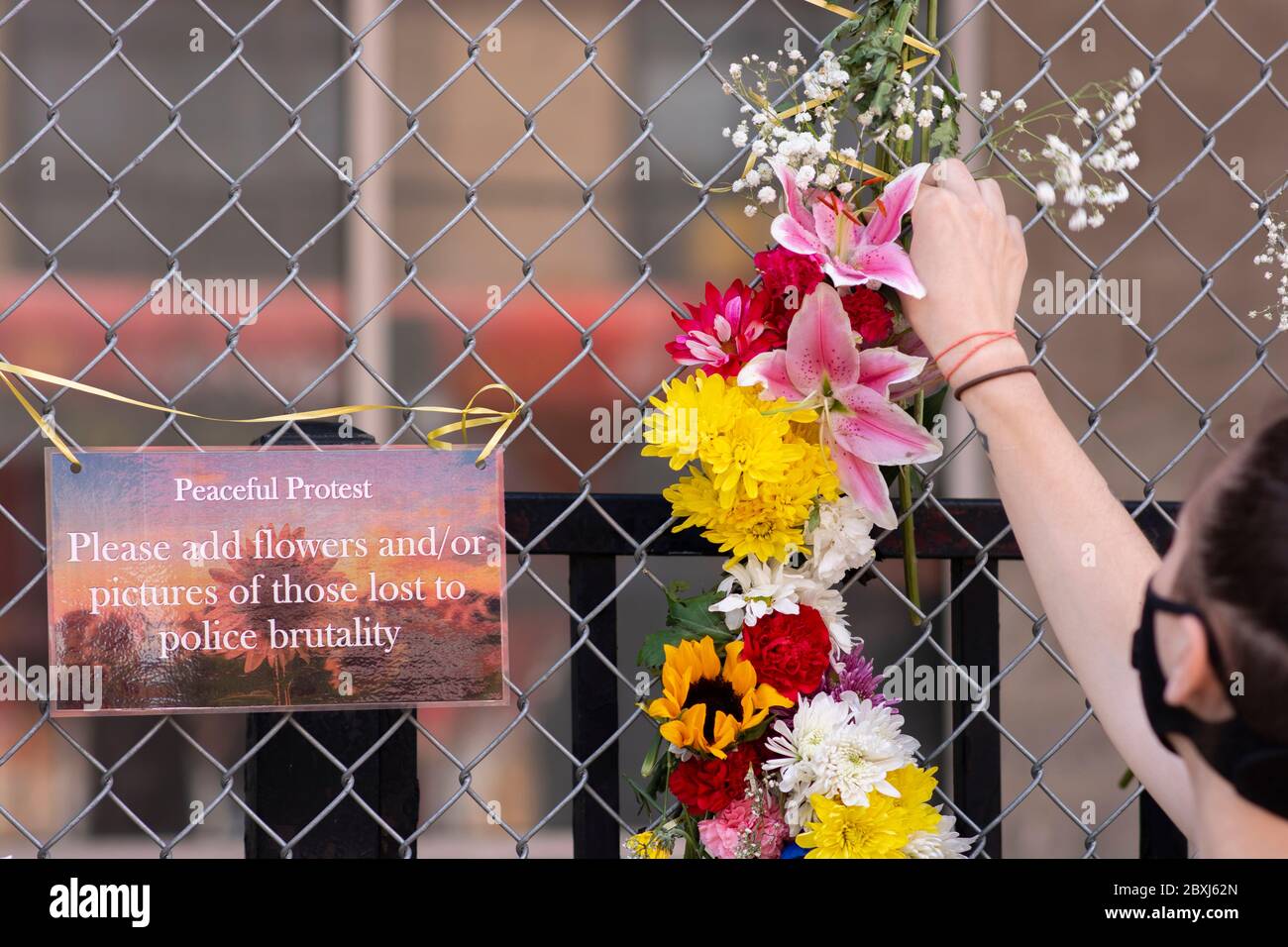 Peaceful Protest Flowers