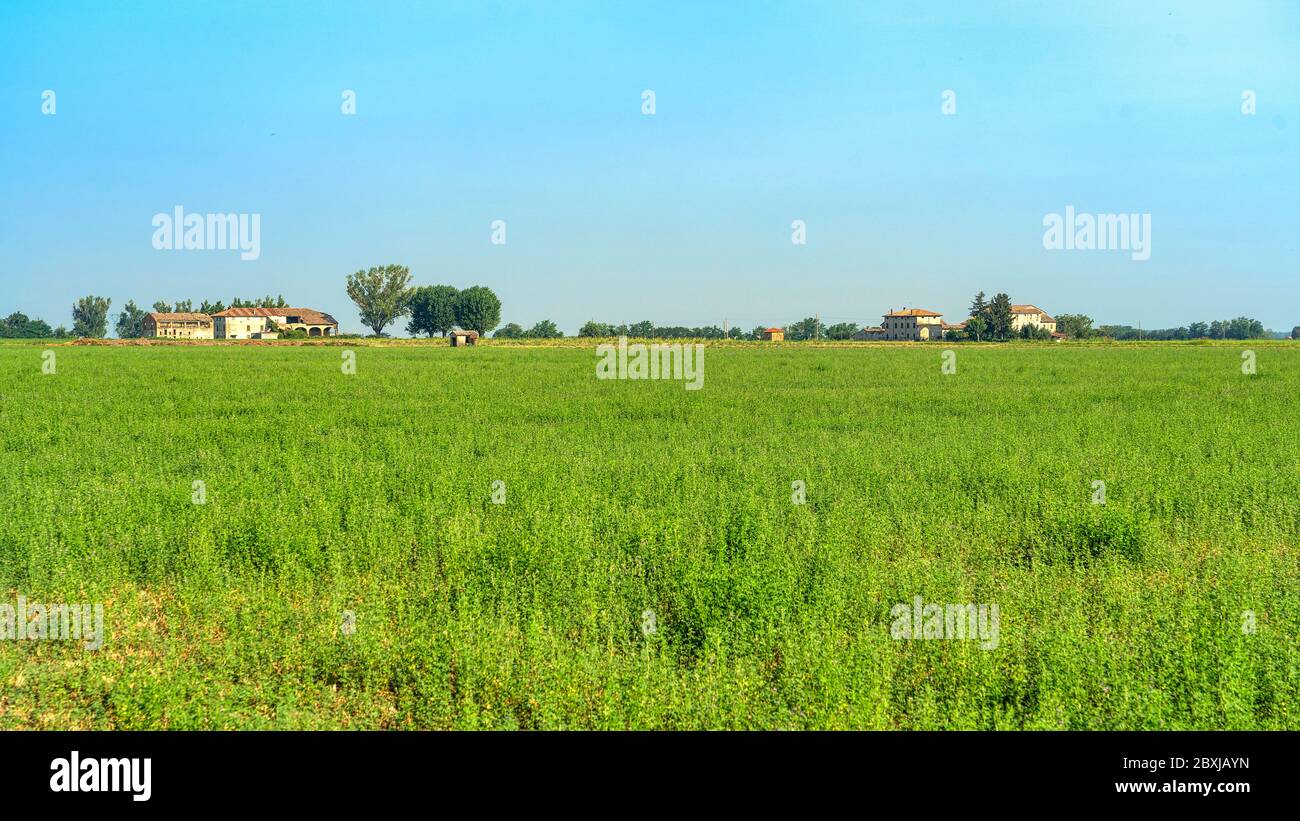 Rural landscape near VIcofertile, in Parma province, Emilia-Romagna ...