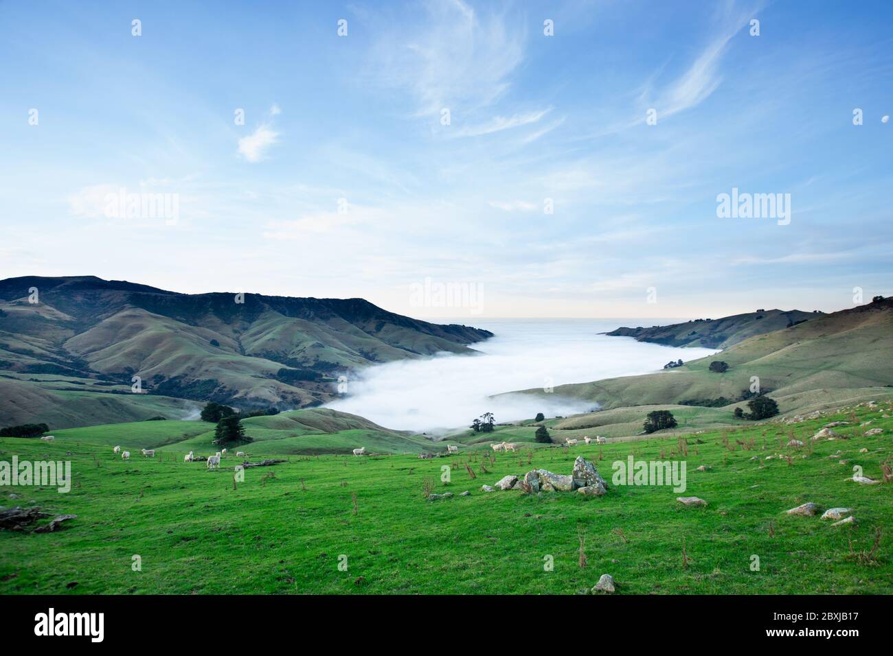 Bank top farm hi-res stock photography and images - Alamy