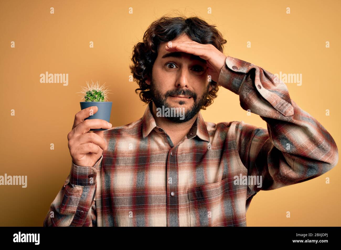 Young man with curly hair and beard holding small cactus plant pot over ...