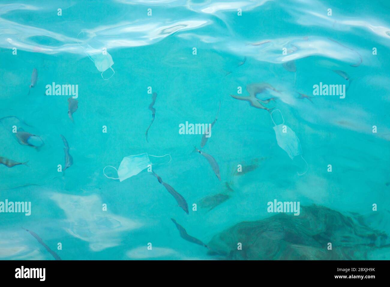 protection mask under water with fishes Stock Photo - Alamy
