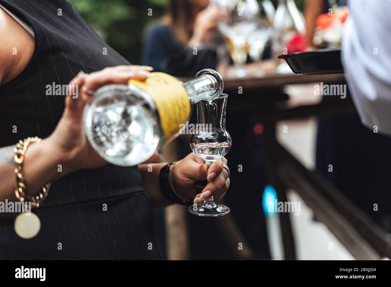Woman pouring alcohol into glass. Closeup of female hands pouring ...