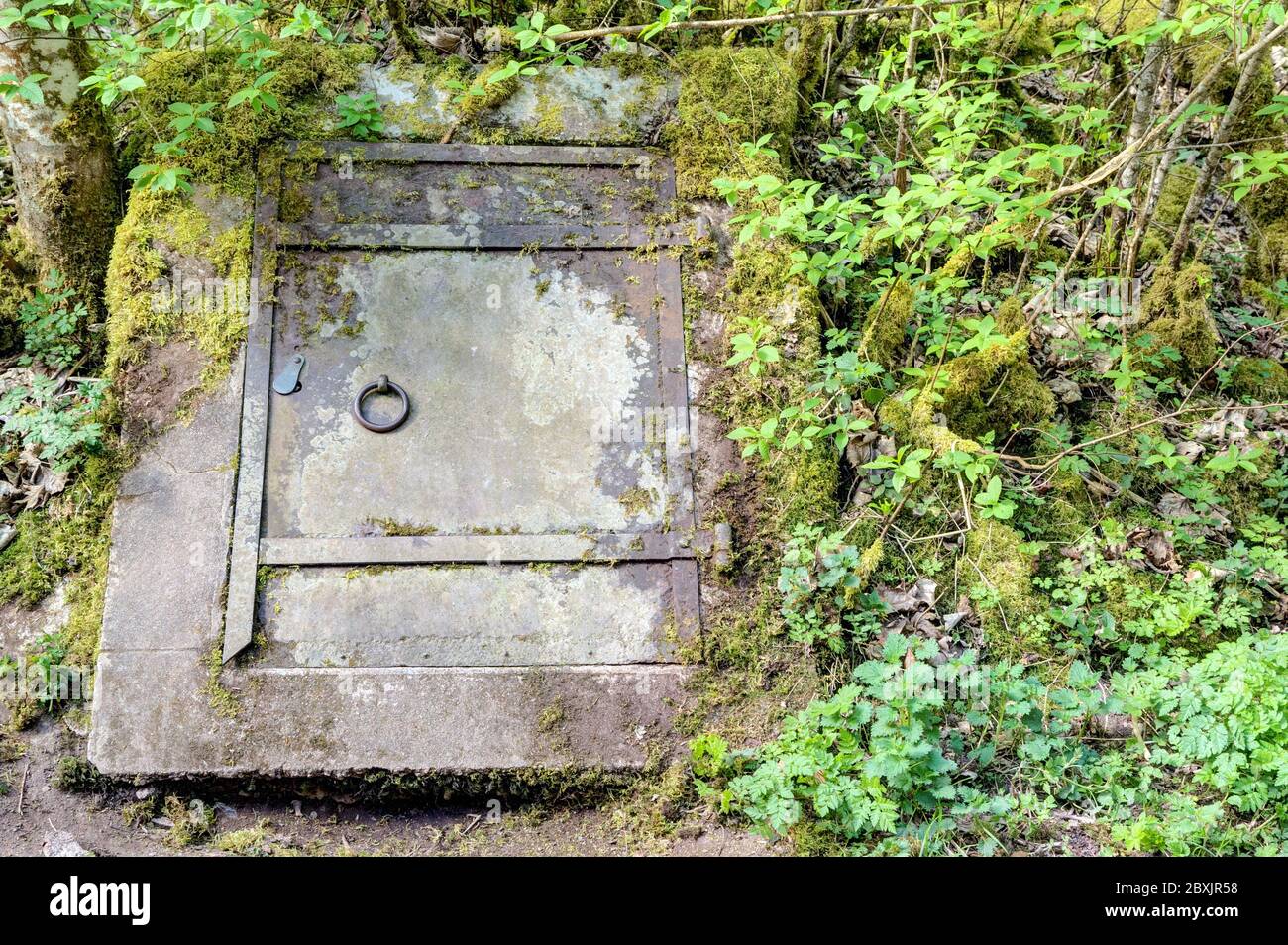 Door into the underground. Iron door of an old rock cellar Stock Photo ...