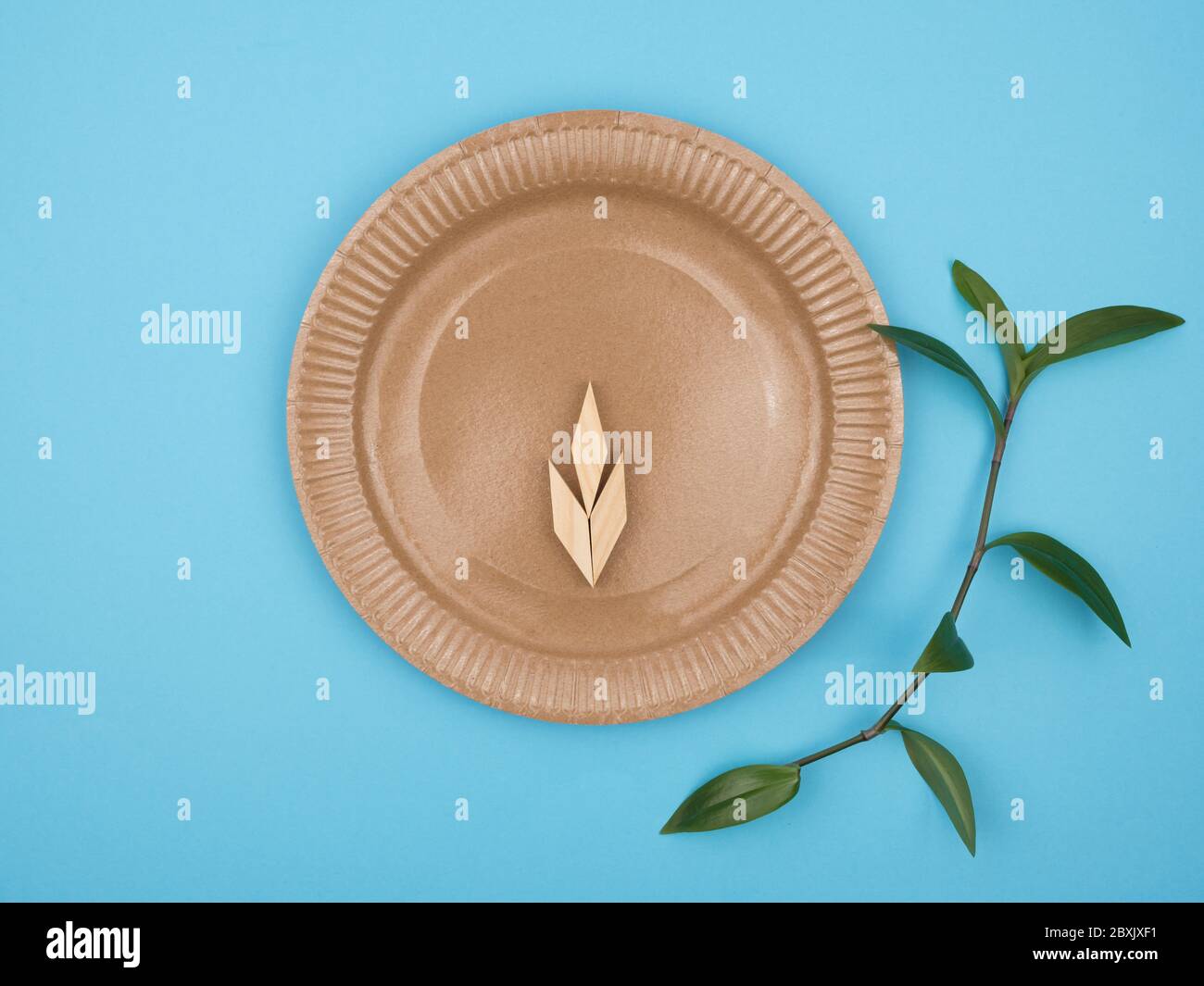 A paper plate and green plant on blue background Stock Photo - Alamy
