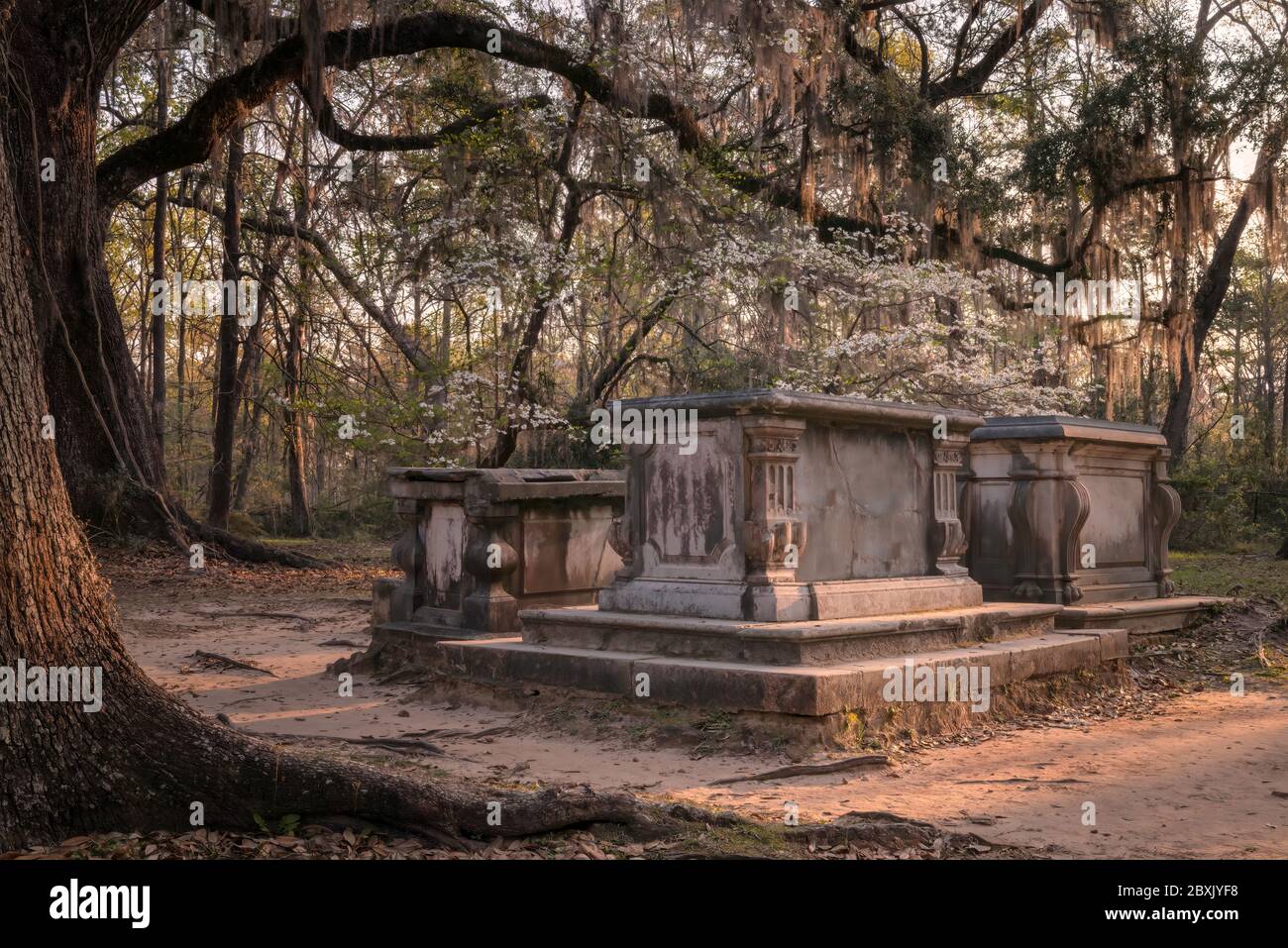 Spanish Moss Cemetery High Resolution Stock Photography and Images - Alamy