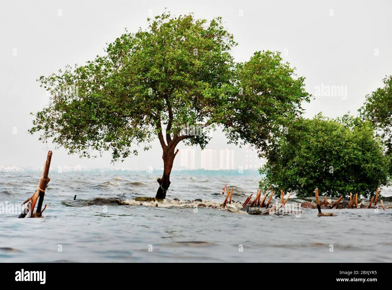 Jakarta coastal zone hi-res stock photography and images - Alamy