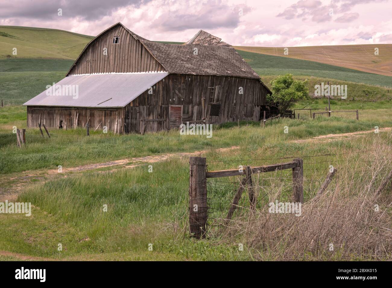 Old Falling Down Barn In High Resolution Stock Photography and Images ...