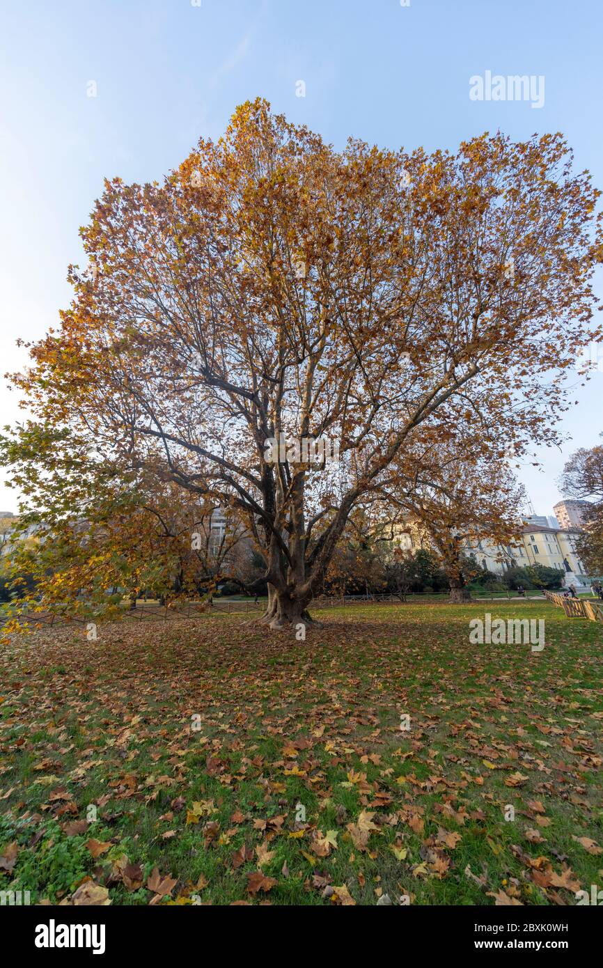 Milan, Lombardy, Italy: the public park known as Giardini Indro ...