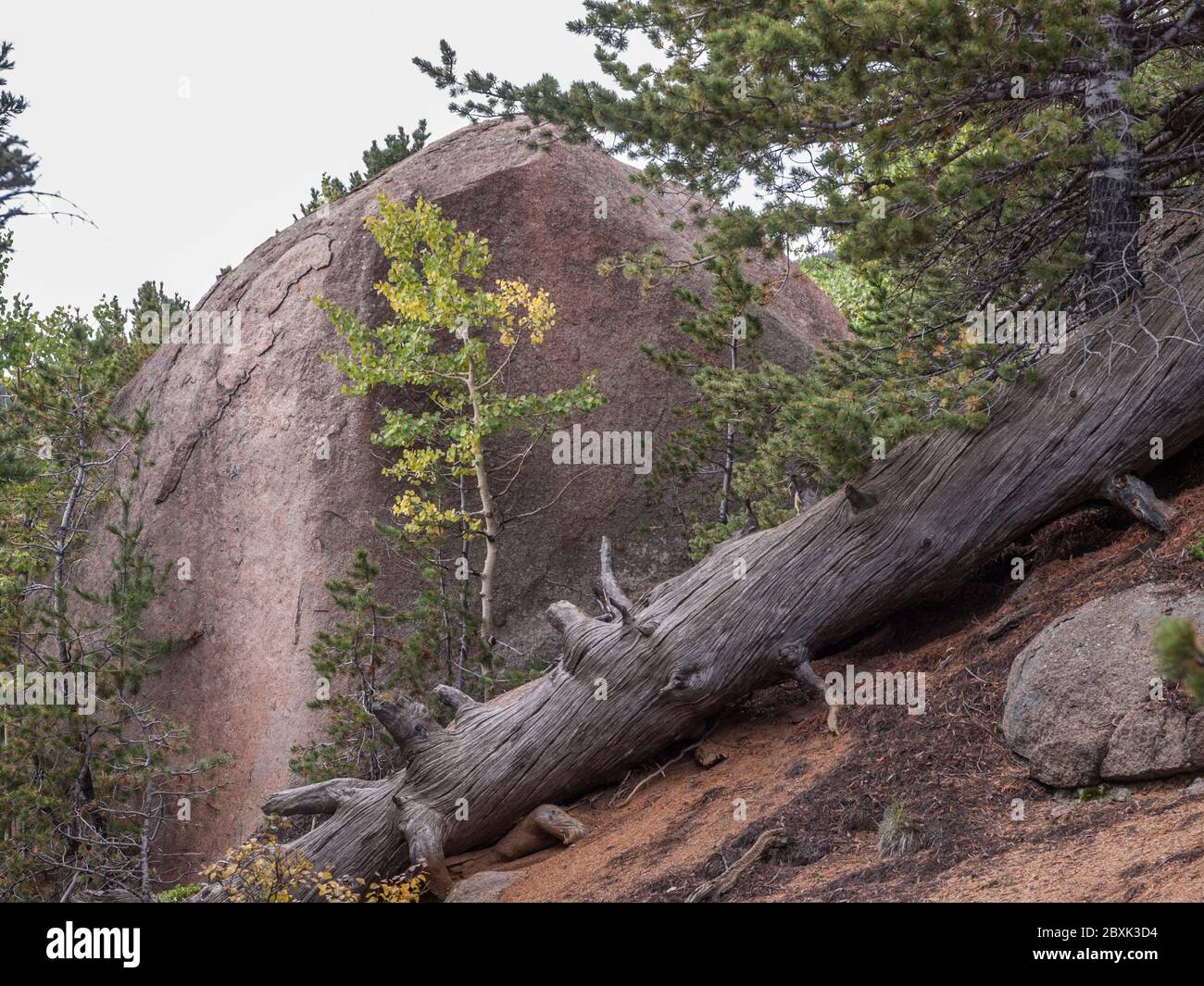 Pikes peak panorama hi-res stock photography and images - Alamy