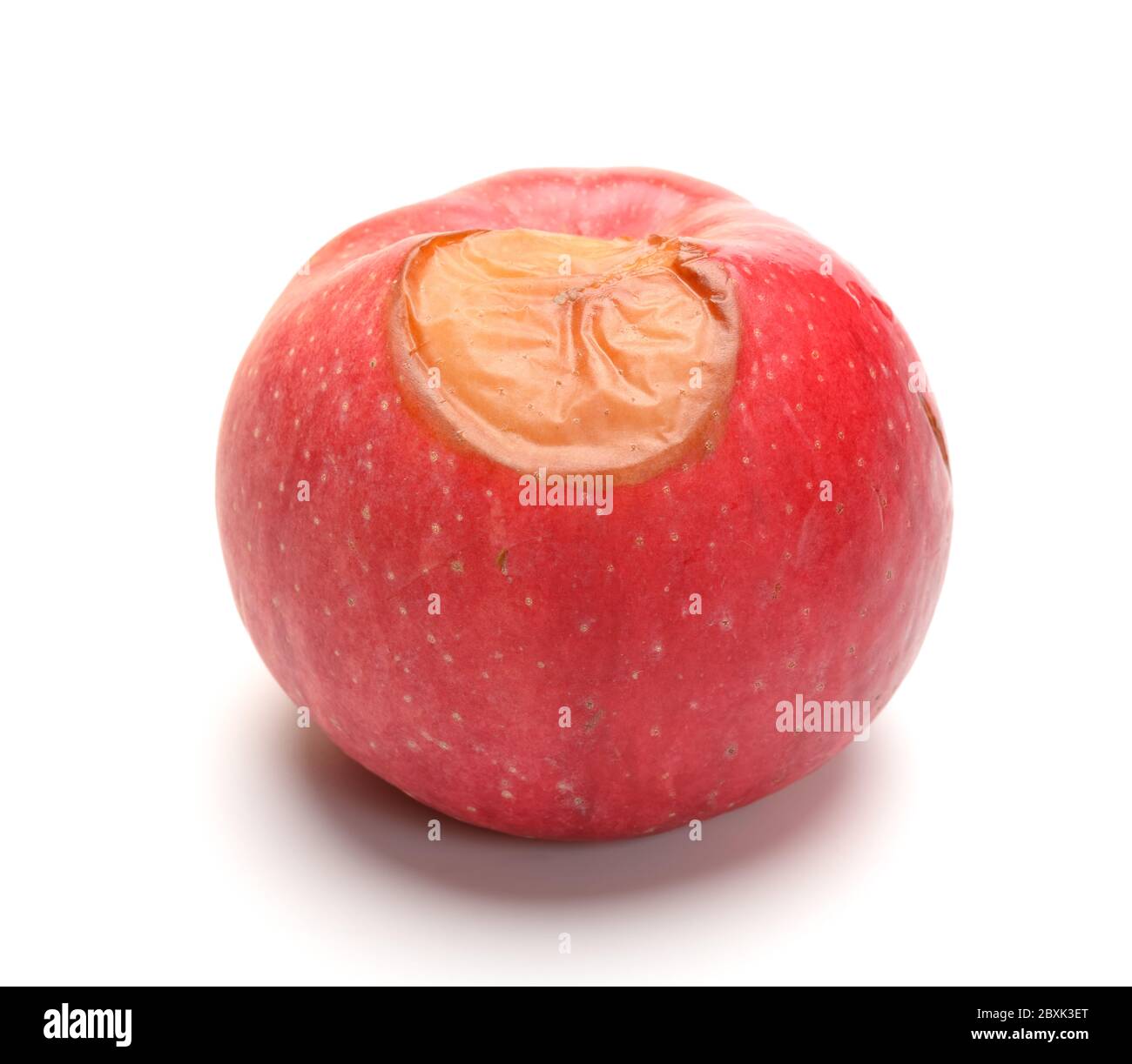 side view rotten apple on a white background Stock Photo - Alamy