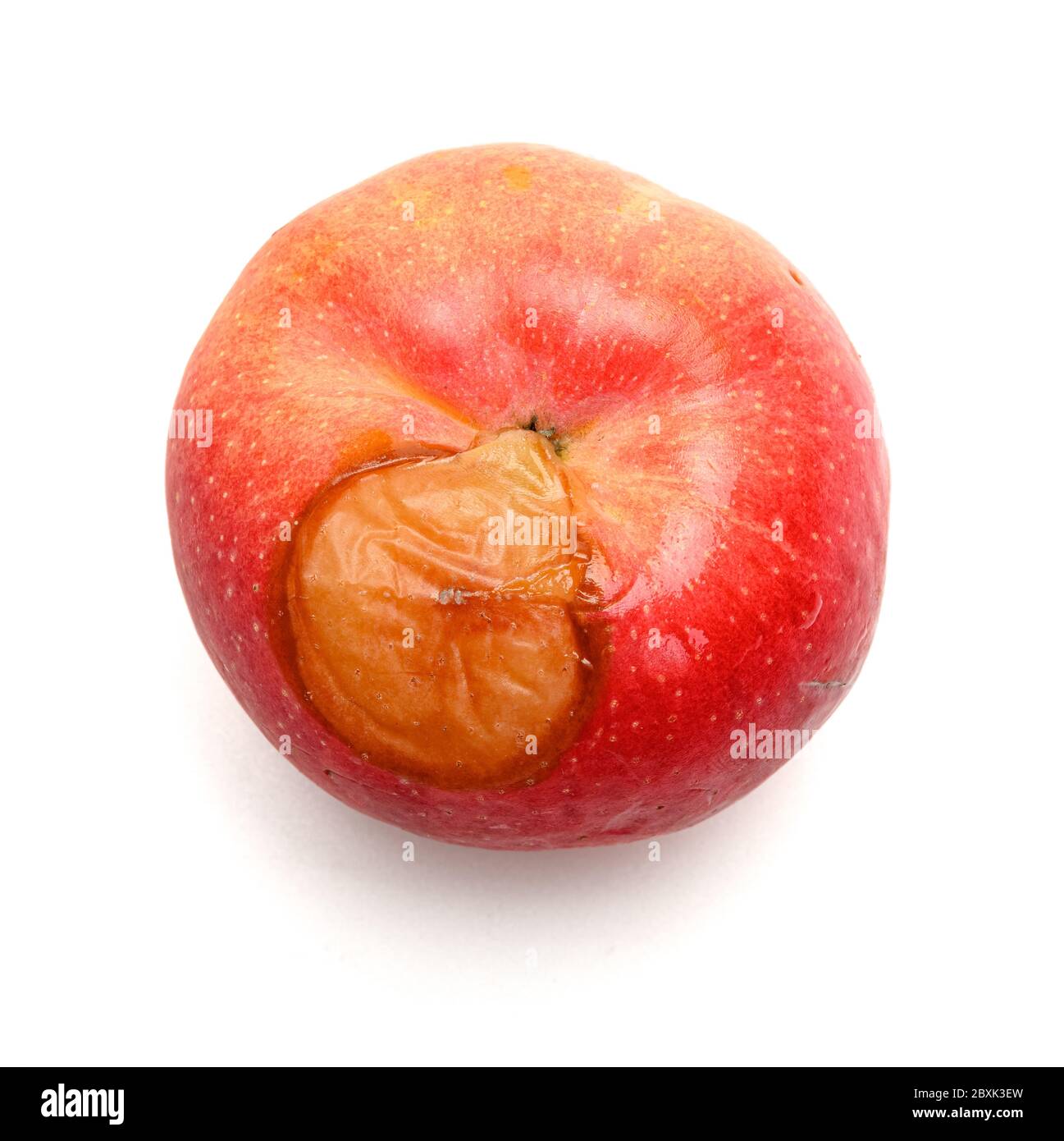 top view rotten apple on a white background Stock Photo - Alamy
